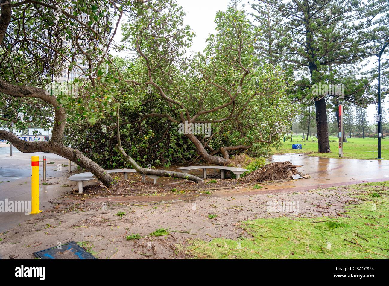 Gold Coast, QLD, Australia - Mar 8, 2025: Cyclone Alfred aftermath in ...