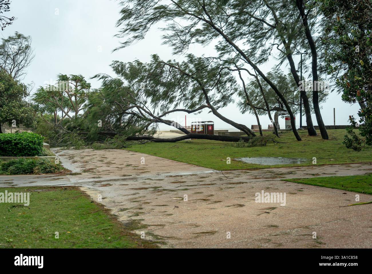 Gold Coast, QLD, Australia - Mar 8, 2025: Cyclone Alfred aftermath in ...