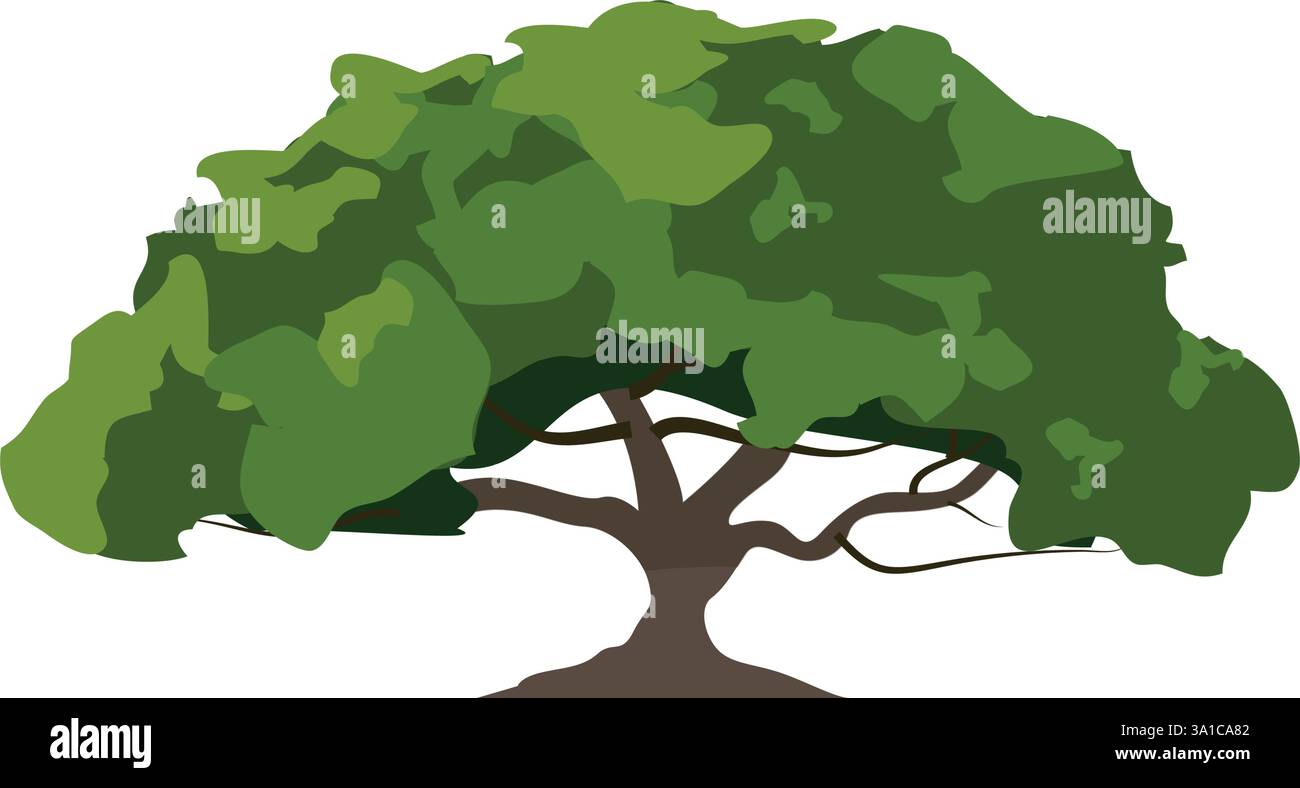 Nature big tree vector over white Stock Vector Image & Art - Alamy