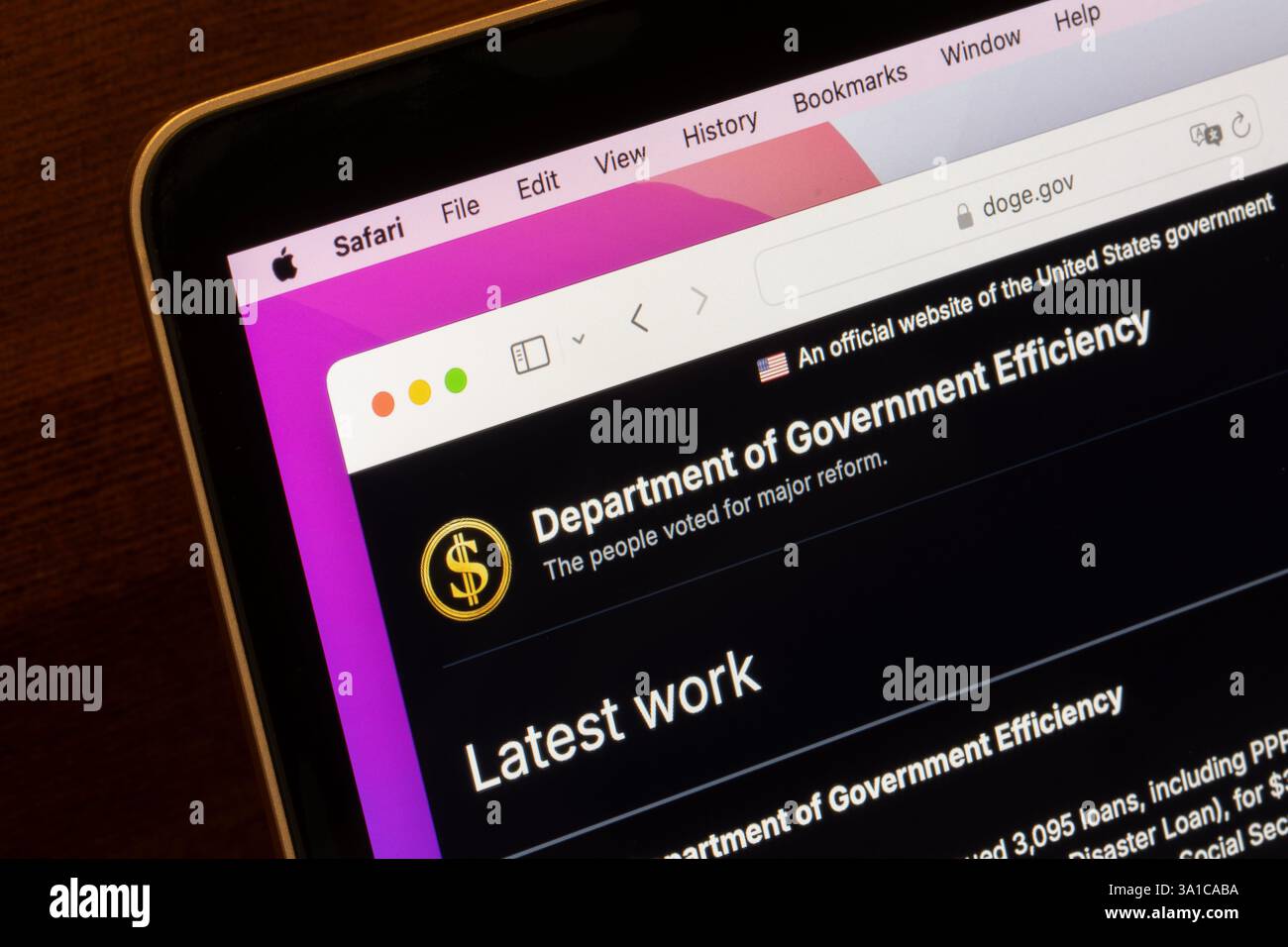 Homepage of the Department of Government Efficiency (DOGE), led by Elon ...