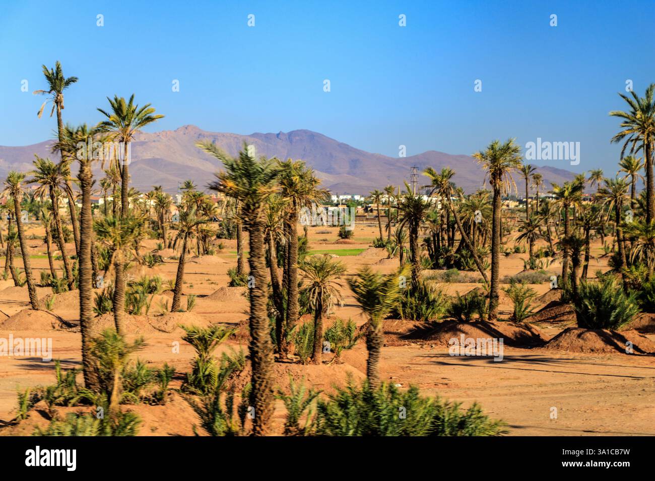 Morocco Wahat oasis Sidi Brahim,A beautiful tour in the beautiful ...