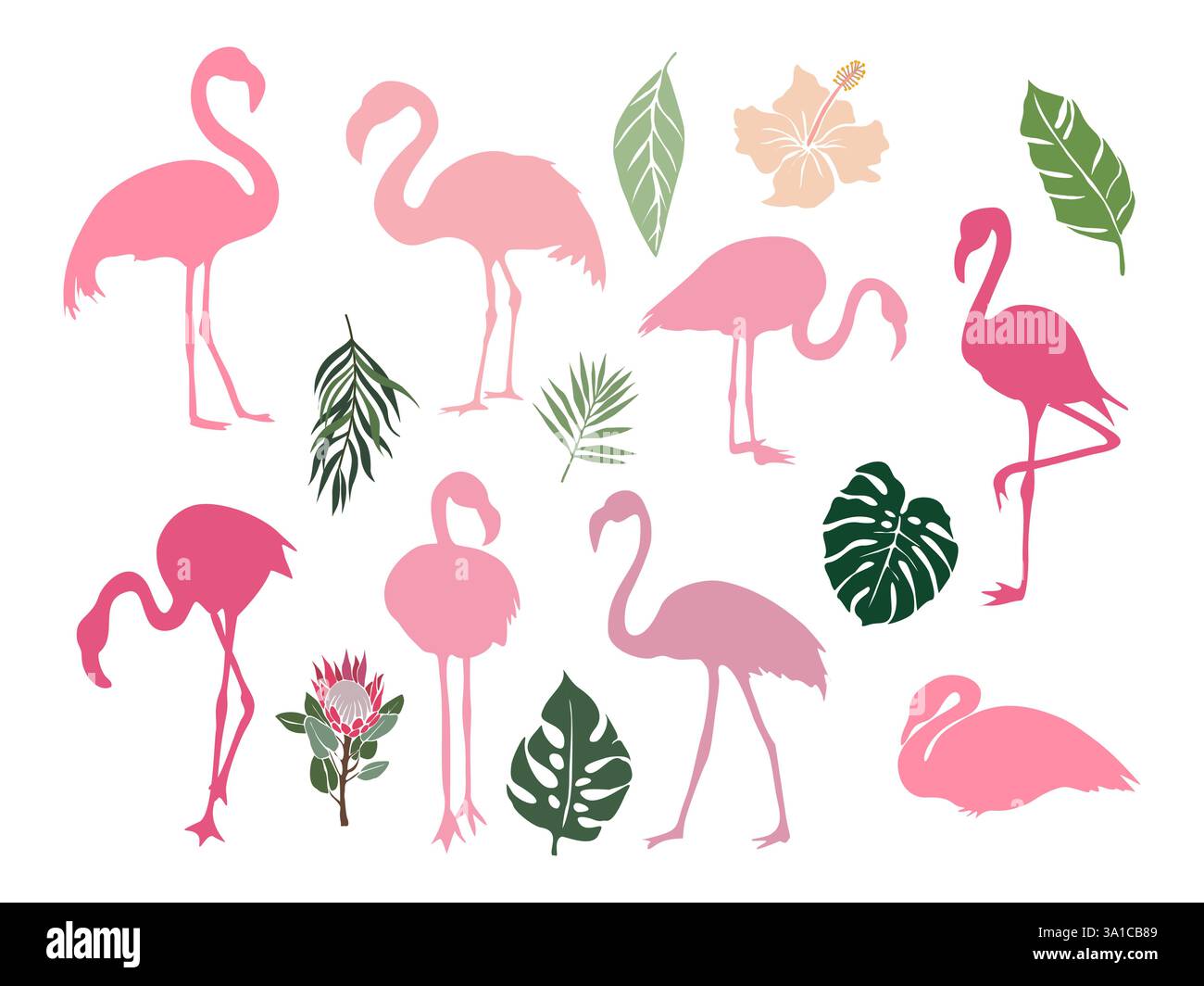 Vector set cute birds Stock Vector Images - Alamy
