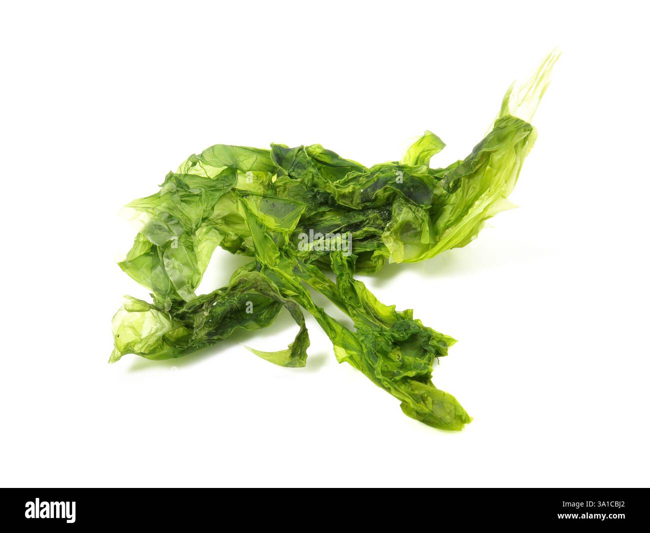 Dried Green Algae on white Background Stock Photo - Alamy