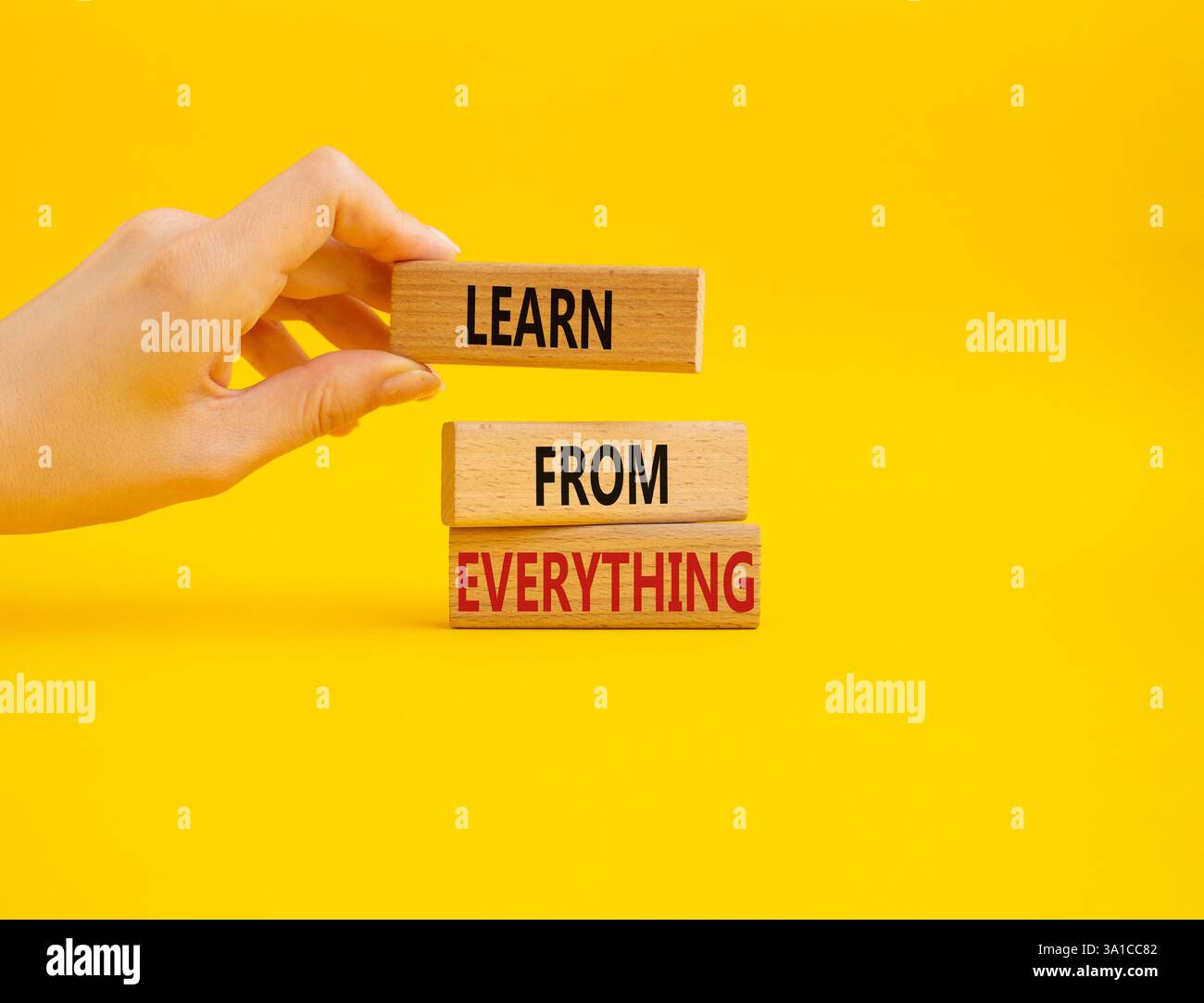 Learn from Everything symbol. Concept words Learn from Everything on ...