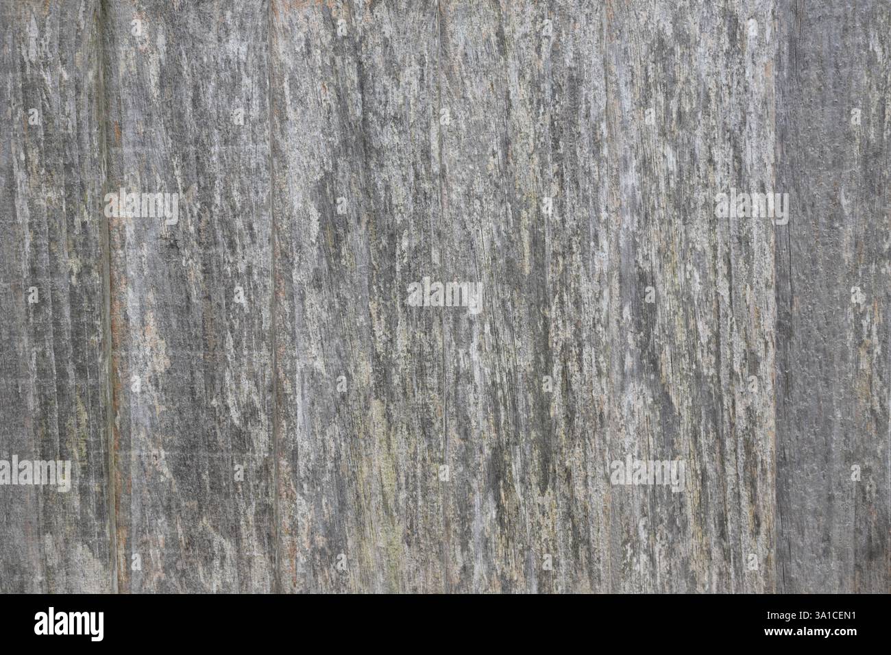 The image is of a wall with a rough, textured surface. The wall appears ...