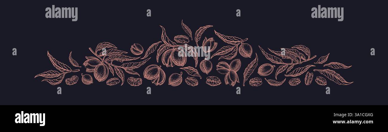 Pecan hand drawn border. Raw nuts, engraving branch. Nature botanical ...