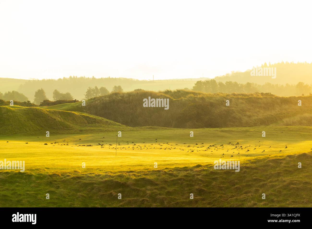 Ayr, UK. 08 MAR, 2025. Damage caused to greens as members of group ...