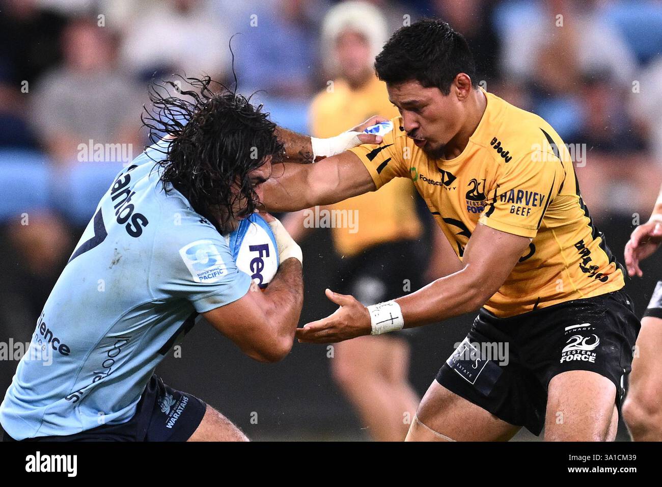 Sydney, Australia. 08th Mar, 2025. Charlie Gamble of the Waratahs is ...