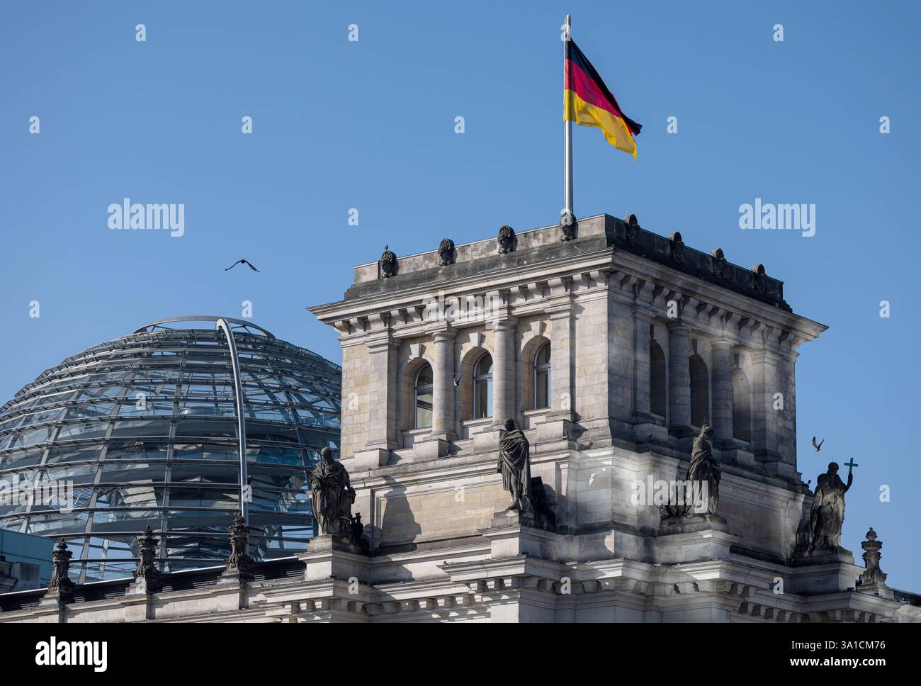 08 March 2025, Berlin: Birds fly in front of the Reichstag building, on ...
