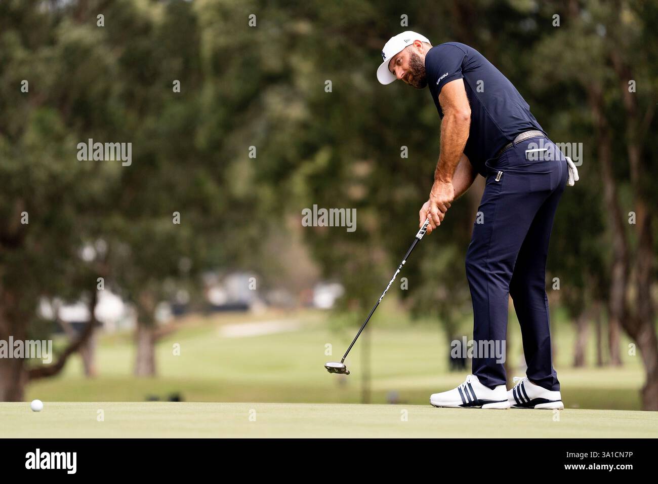 Captain Dustin Johnson of 4Aces GC putts on the fourth green during the ...