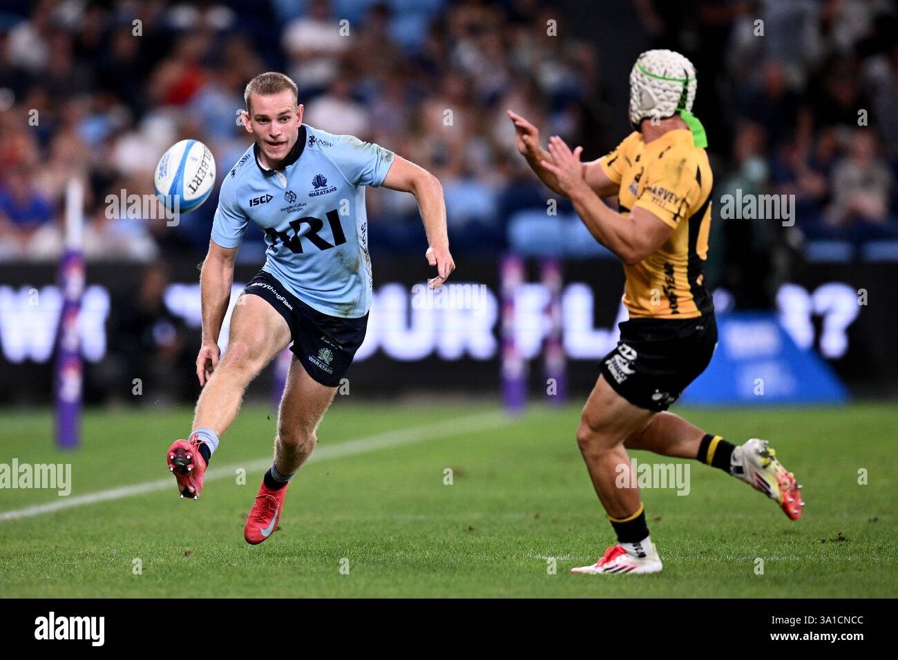 Max Jorgensen of the Waratahs chip kicks over Mac Grealy of the Force ...
