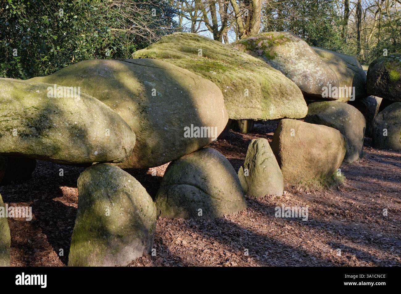 March 2, 2025 - Borger, Netherlands: Hunebed D27, the largest ...