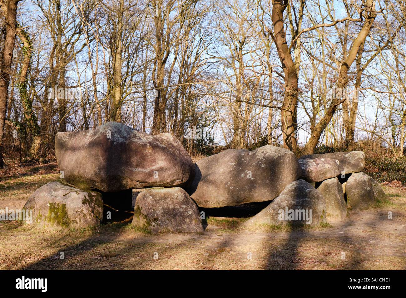 Large ancient dolmen burial site surrounded by trees, bathed in warm ...