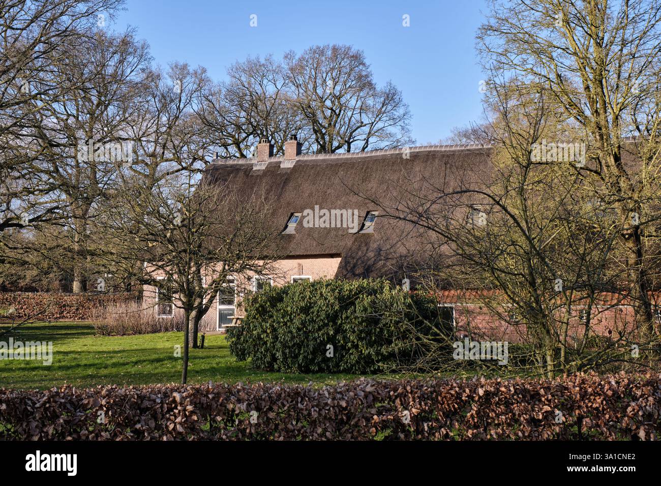 March 2, 2025 - Drouwen, Netherlands: Very old Dutch farmhouse with ...