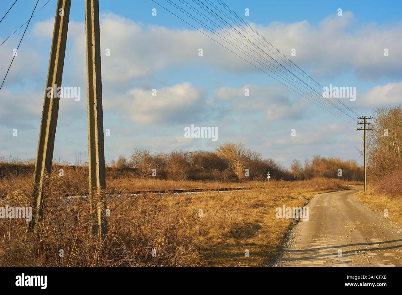 Dirt Road and Telegraph Poles in Rural Landscape During Sunny Day Stock ...