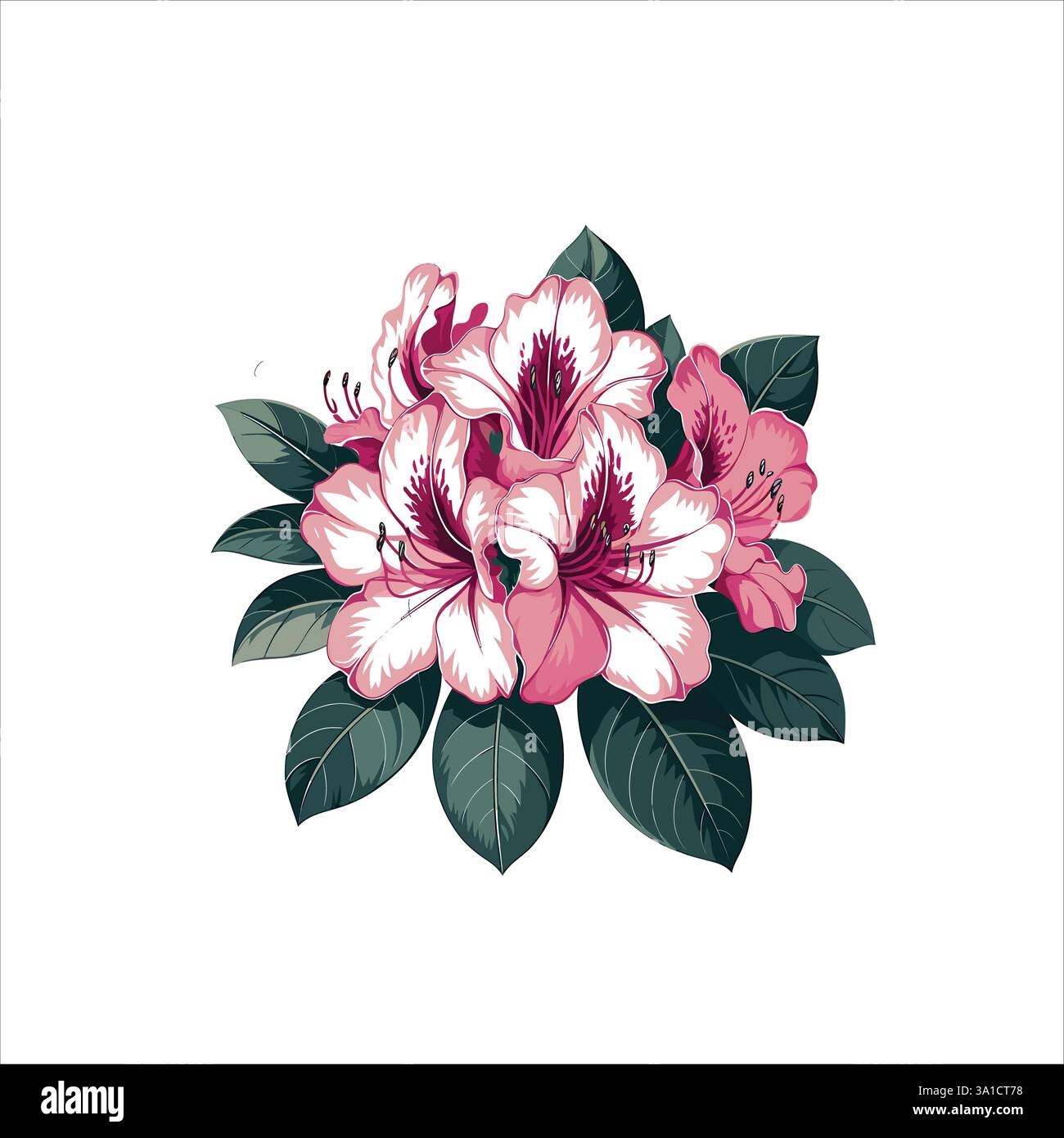 Vibrant pink azalea flowers in sharp focus, showcasing delicate petals ...