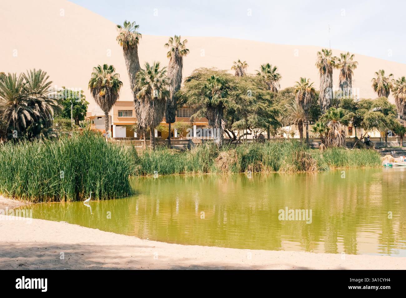 Ica Region, Peru - dec 2, 2024 Oasis- Huacachina, a village in ...