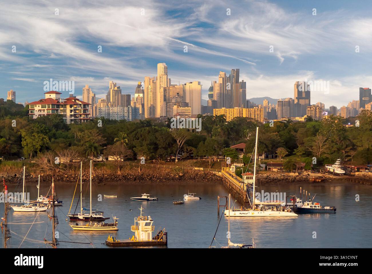 The Panama Canal: the high-rise towers of Panama City appearing above ...