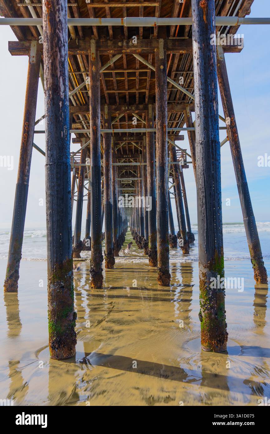 View from beneath Oceanside Pier featuring textured wooden pillars ...