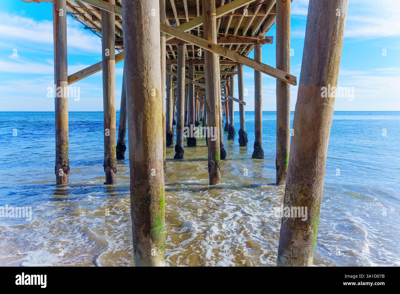 Perspective view from under a wooden pier at Malibu, showcasing tall ...