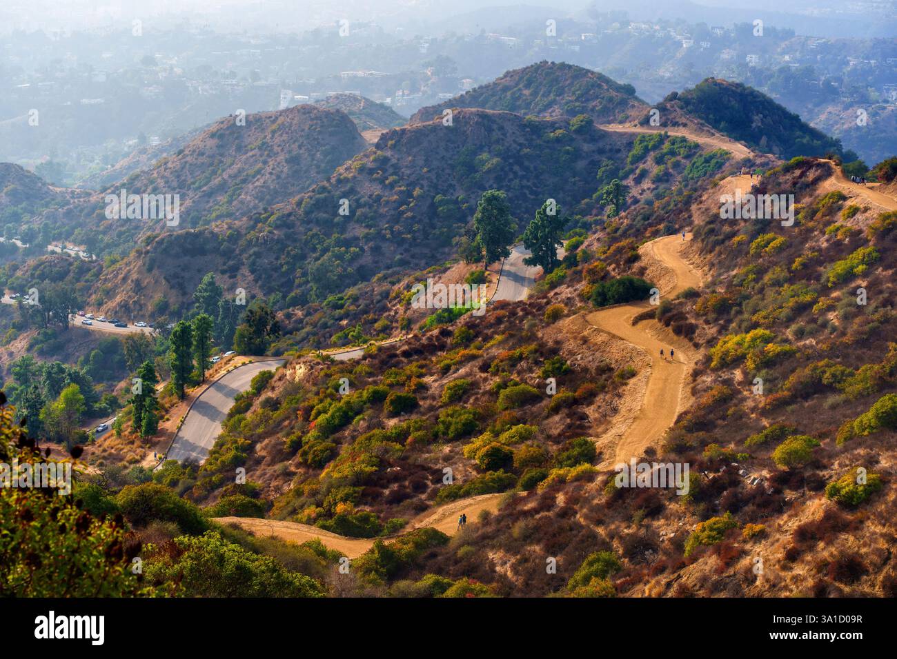 Beautiful aerial view of winding trails and hills in Griffith Park, Los ...