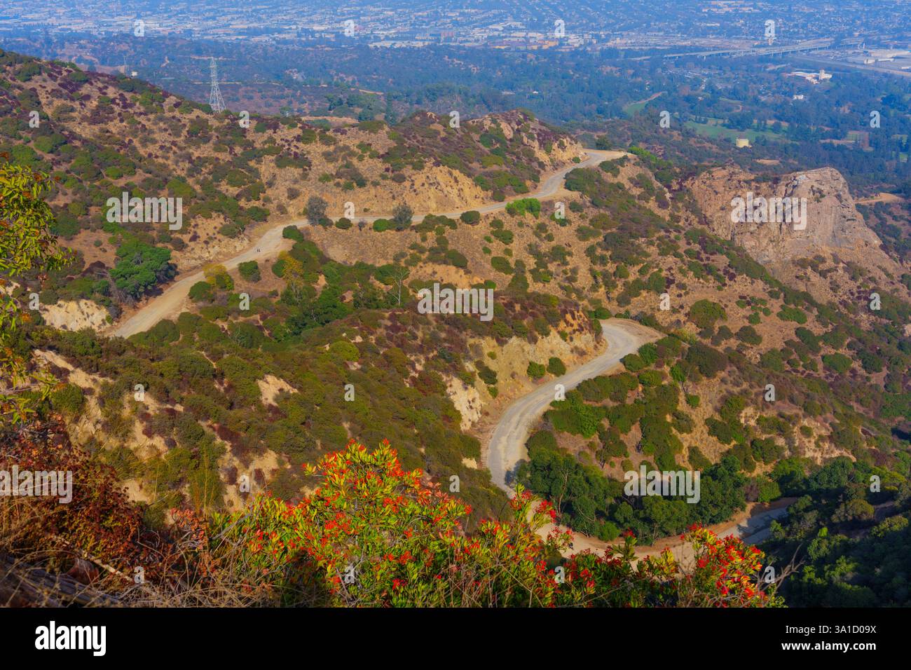 Stunning aerial view of the winding roads and lush landscape seen from ...