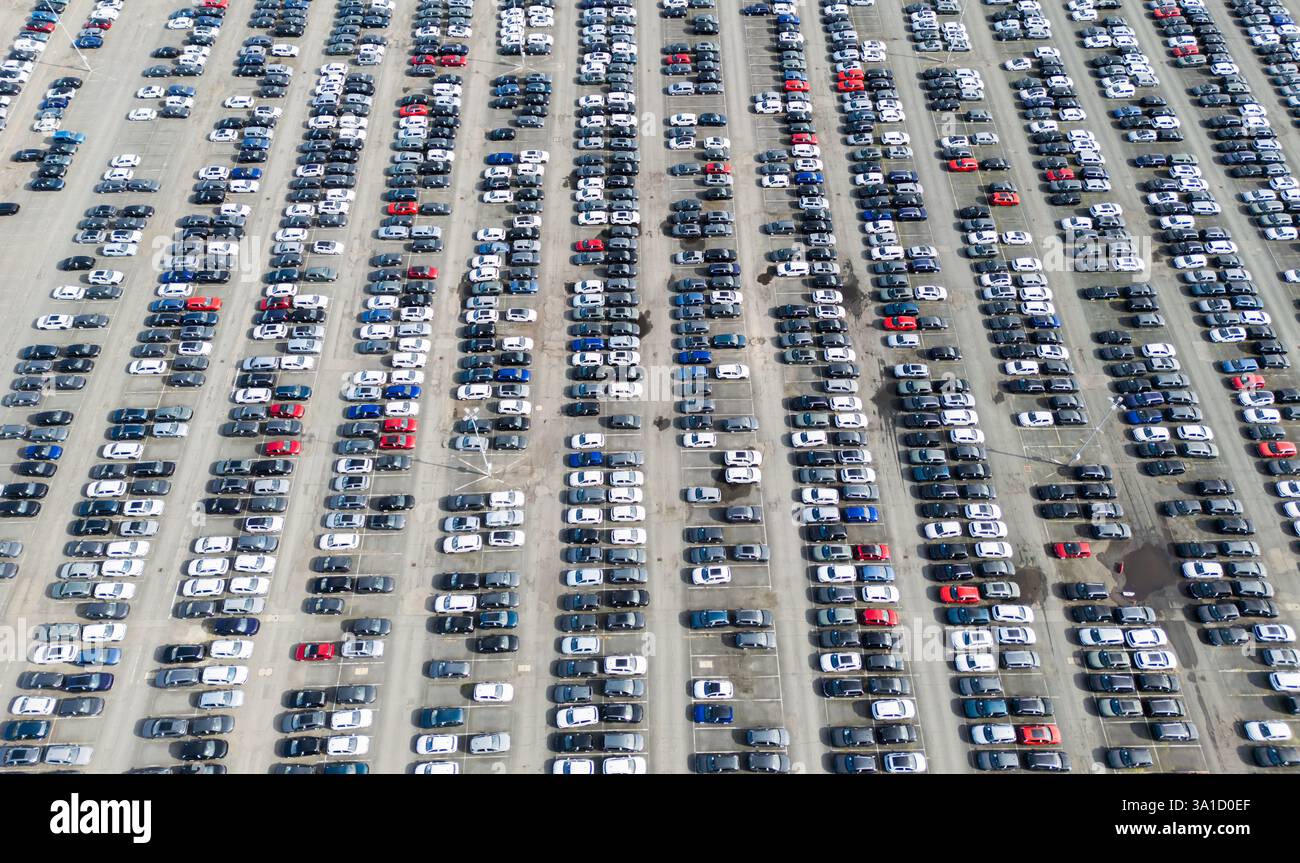 PRODUCTION - 07 March 2025, Lower Saxony, Wolfsburg: New Volkswagen ...