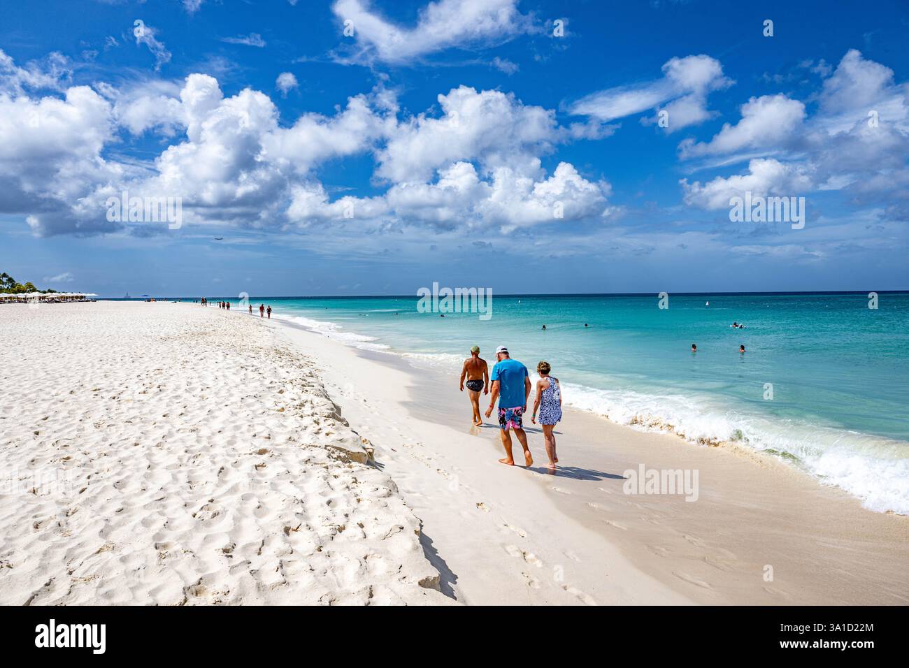 Oranjestad, Aruba. 05th Feb, 2025. The coastline of Eagle Beach, that ...