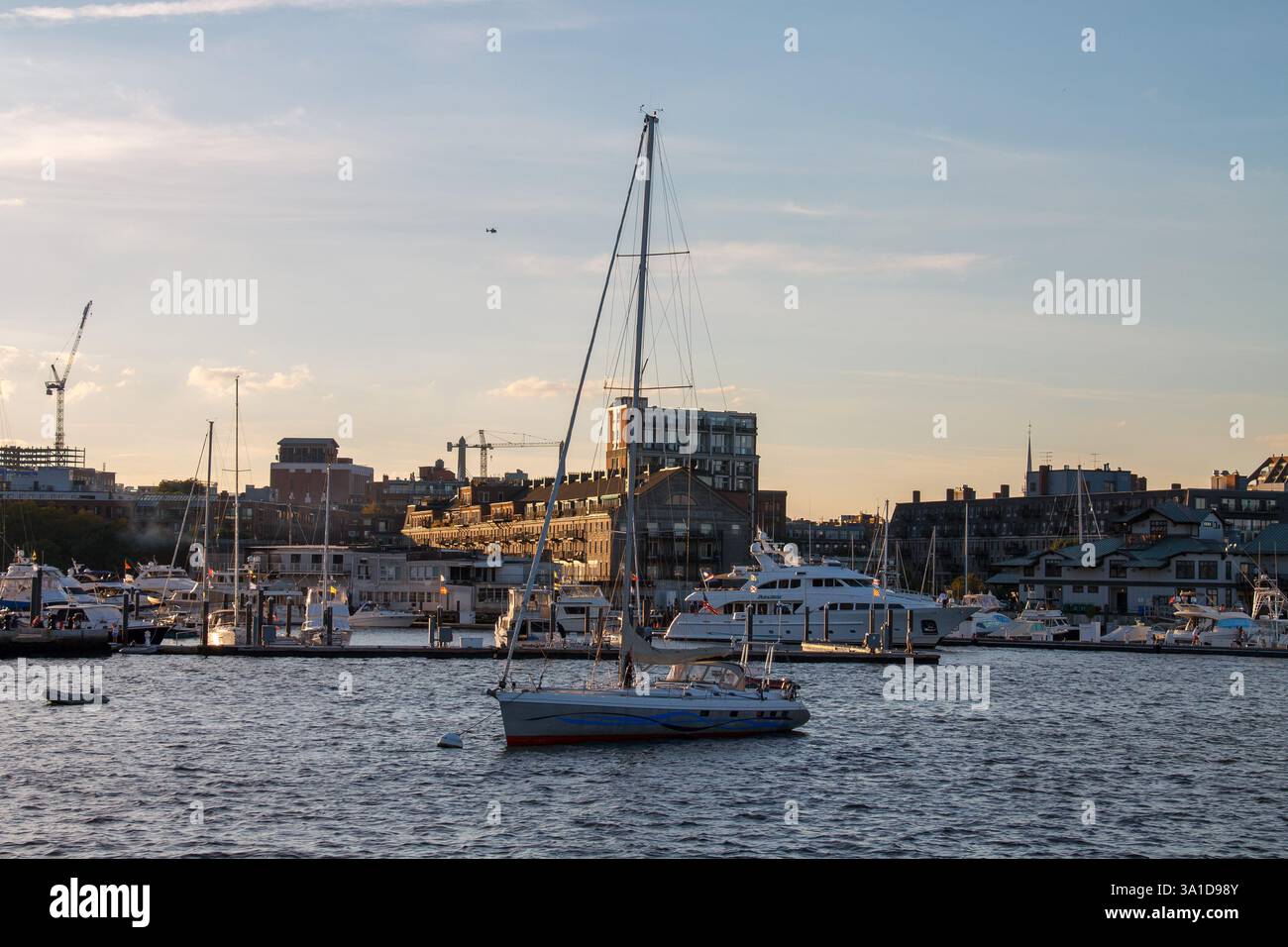 Sailboats at sunset, cranes and the buildings at the waterfront, Boston ...