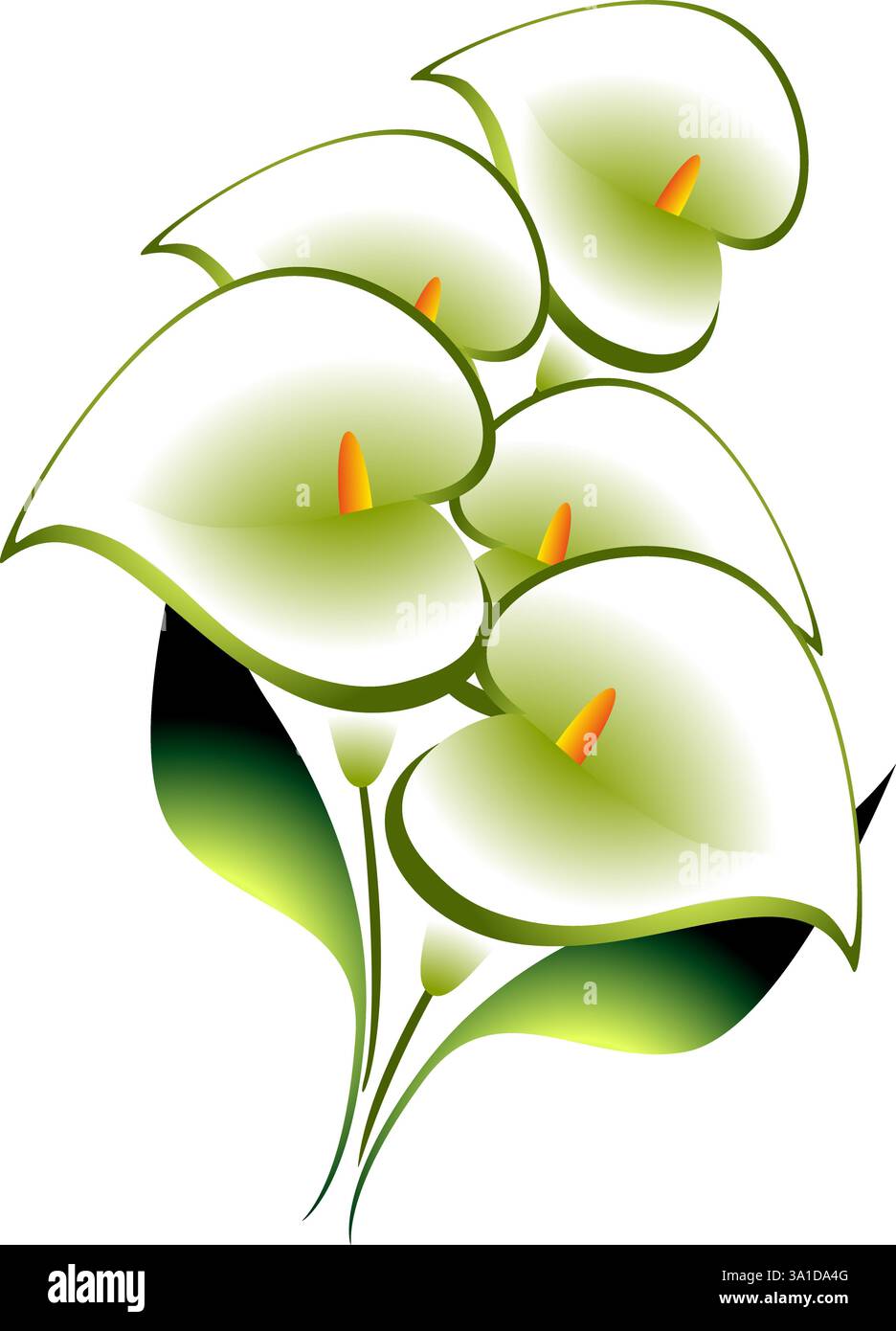 Bouquet of calla Stock Vector Image & Art - Alamy
