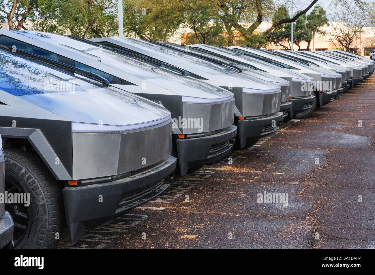 Mesa, Arizona, USA. 7th Mar, 2025. Rows of Cybertrucks sit idle in an ...