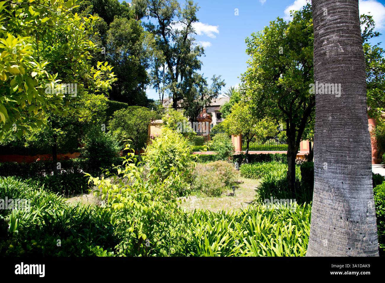Seville,Parks,Gardens,Giralda Cathedral,Don Kiotey Tiling,El Arenal old ...