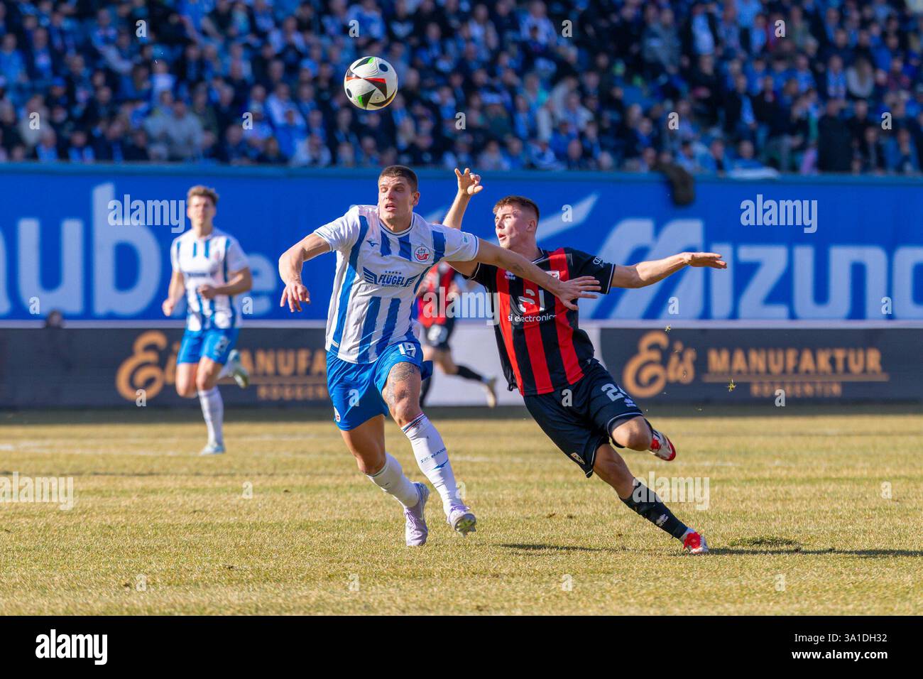 Rostock, Deutschland 08. März 2025: 3. Liga - 2024/2025 - FC Hansa ...