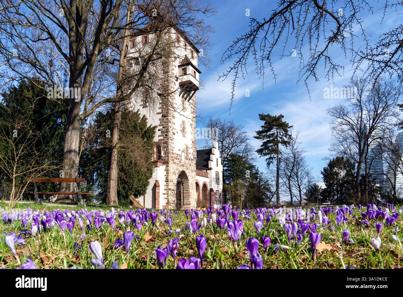 Switzerland, Basel, Basel-Stadt, St. Alban, St. Alban Gate, city wall ...