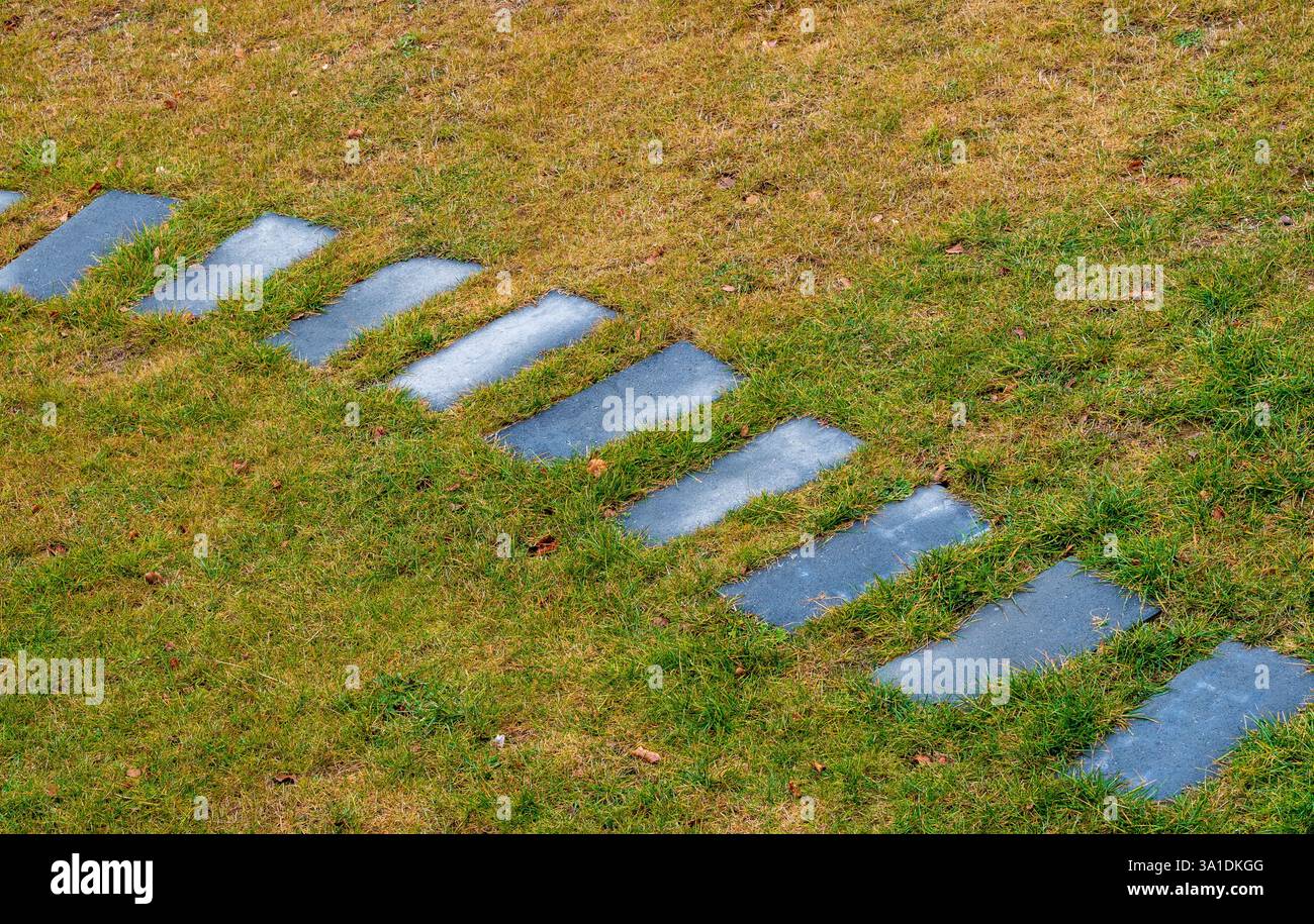 Rhythmic Path – Rectangular Stones in Harmony Stock Photo - Alamy