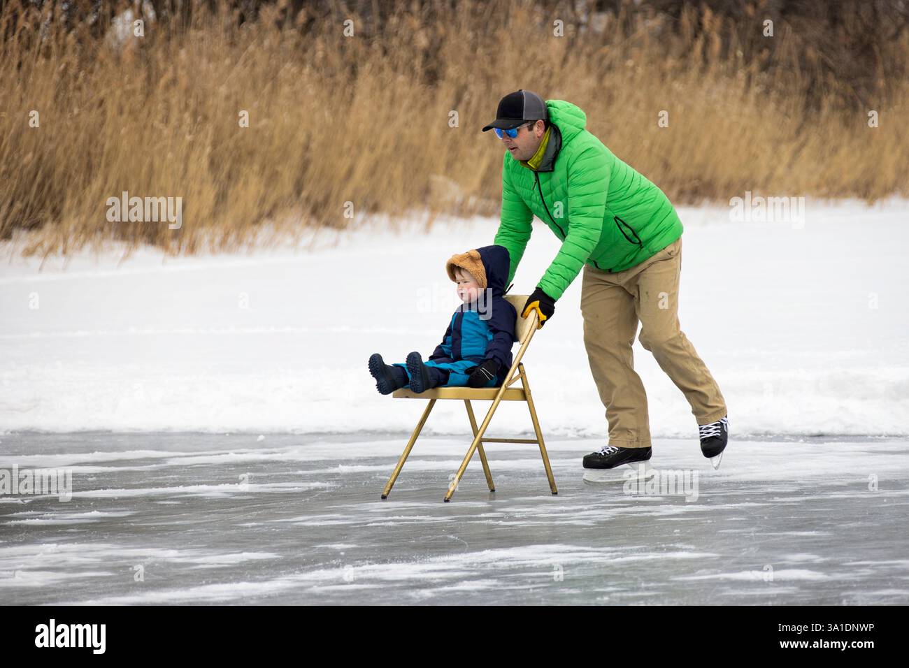 Father on ice skates pushing his toddler son in a chair on a frozen ...