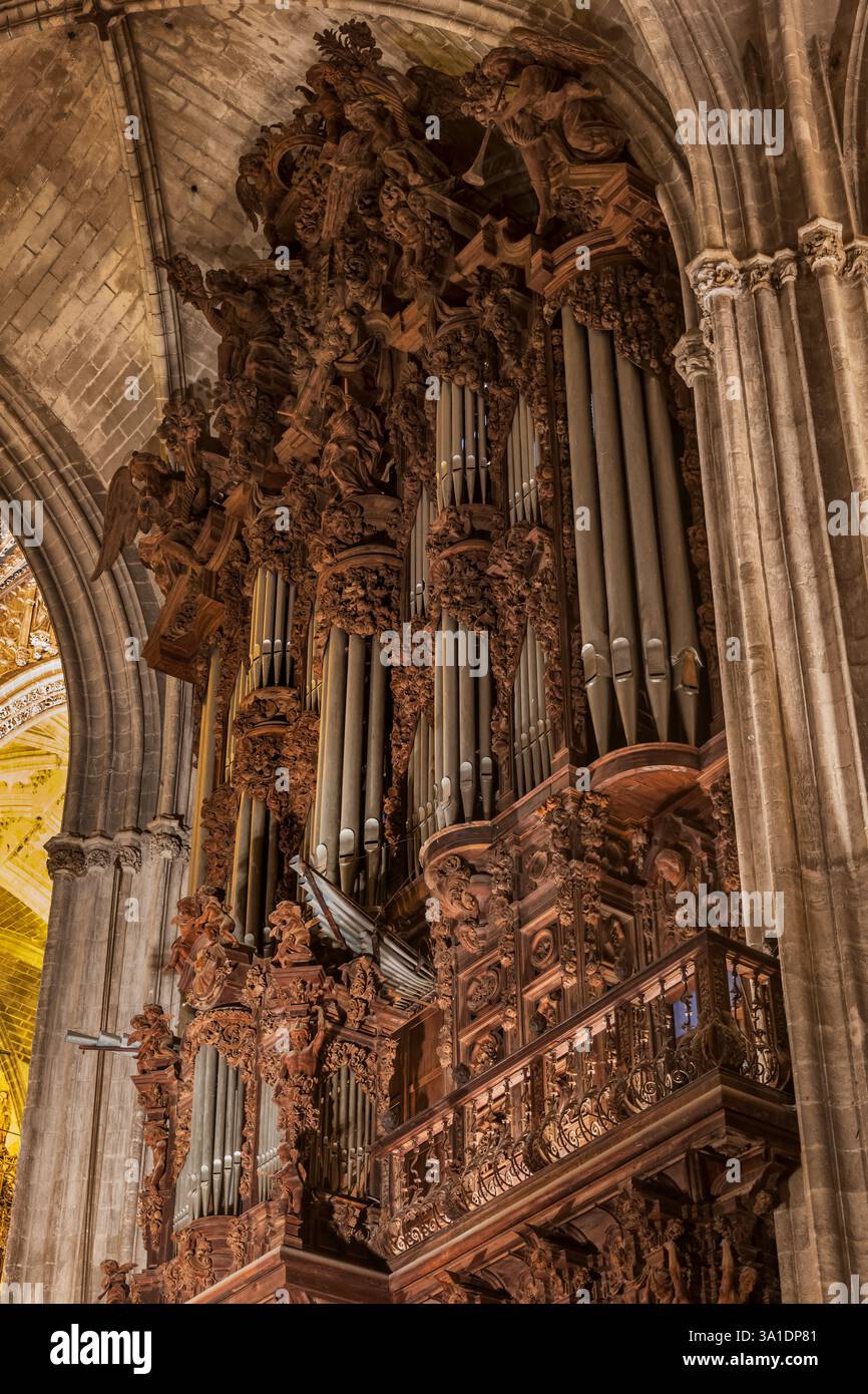 Seville Cathedral (Catedral de Sevilla) interior in Seville, Andalusia ...