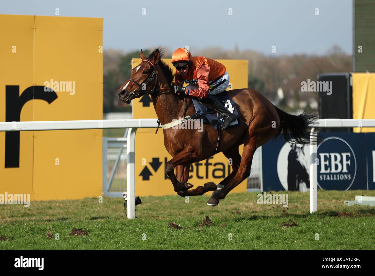 Charisma Cat ridden by Jockey Tom Cannon on the way to winning the ...