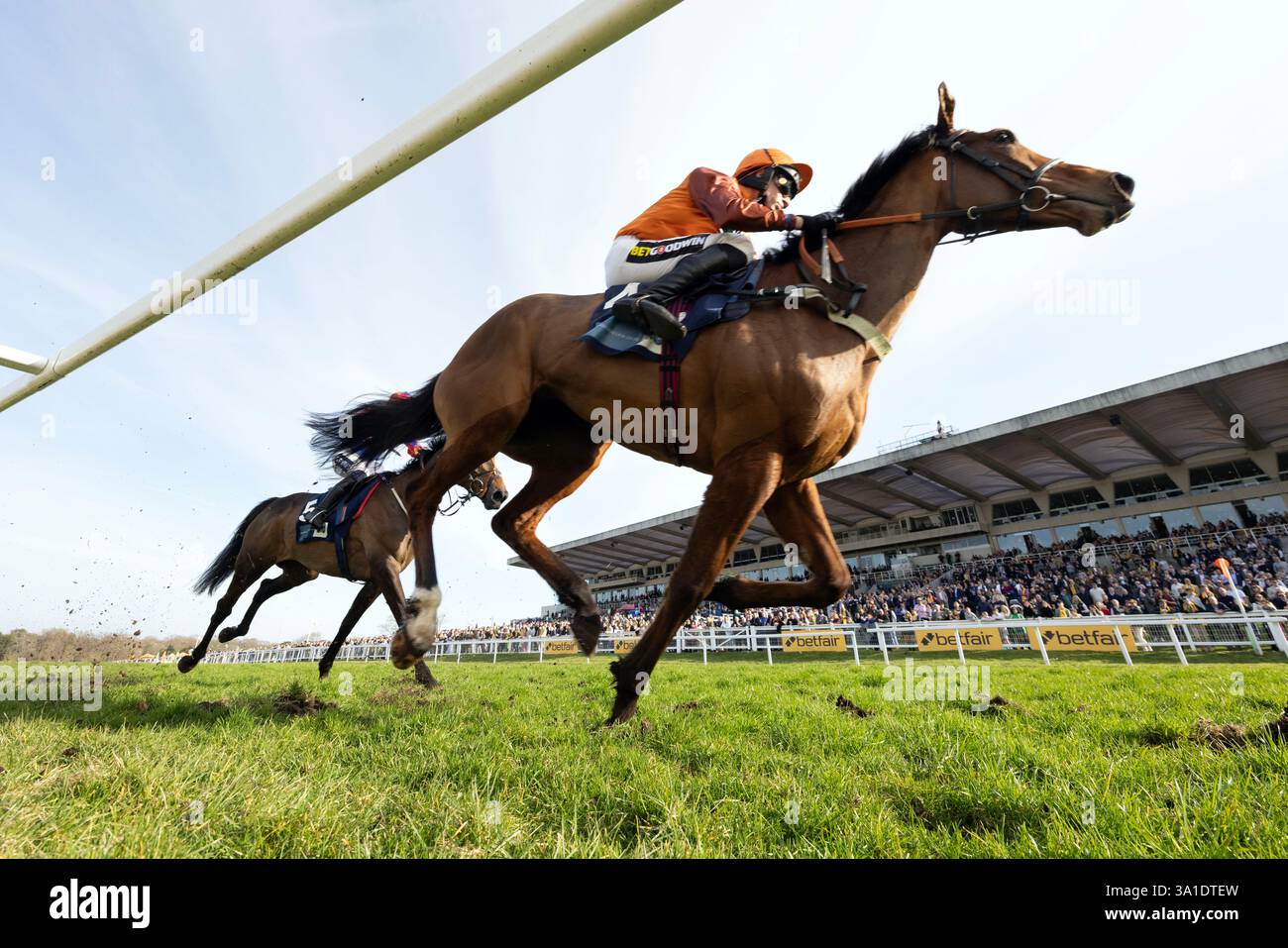 Charisma Cat ridden by Jockey Tom Cannon on the way to winning the ...