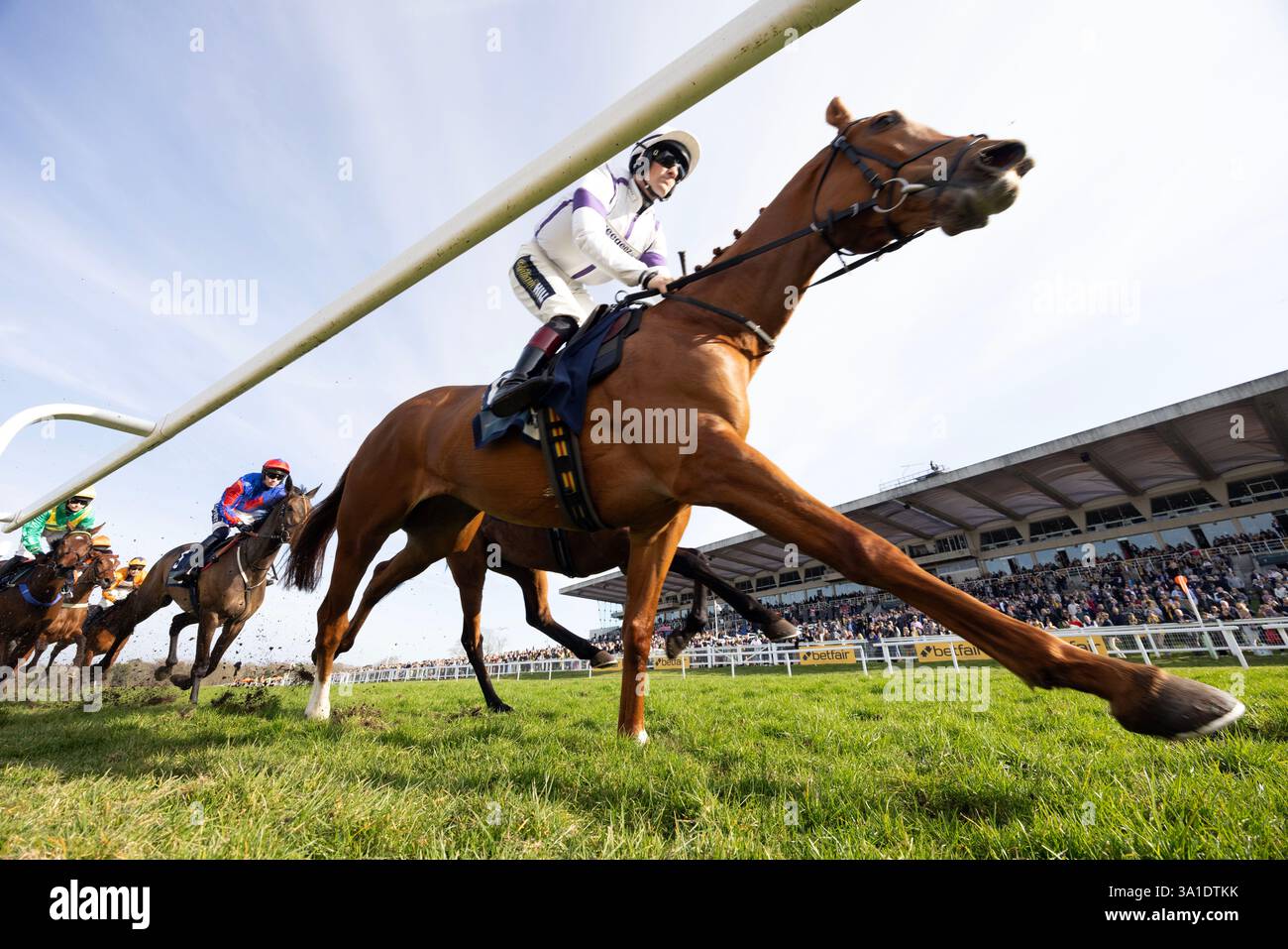 Runners and riders in the British Stallion Studs EBF Mares' Standard ...