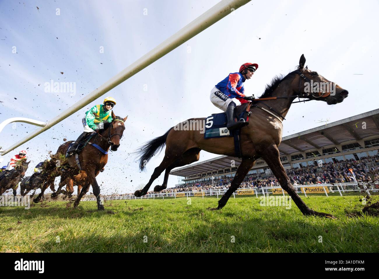 Runners and riders in the British Stallion Studs EBF Mares' Standard ...