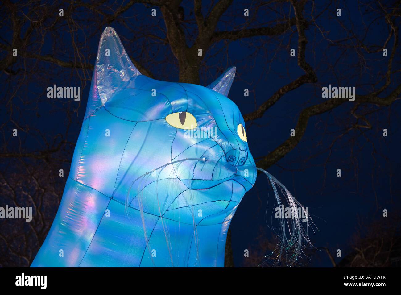 London cats west end hi-res stock photography and images - Alamy