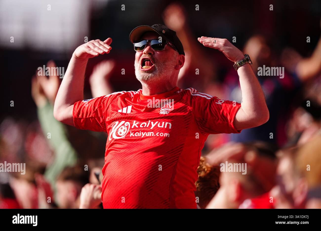 Nottingham Forest fans celebrate in the stands during the Premier ...
