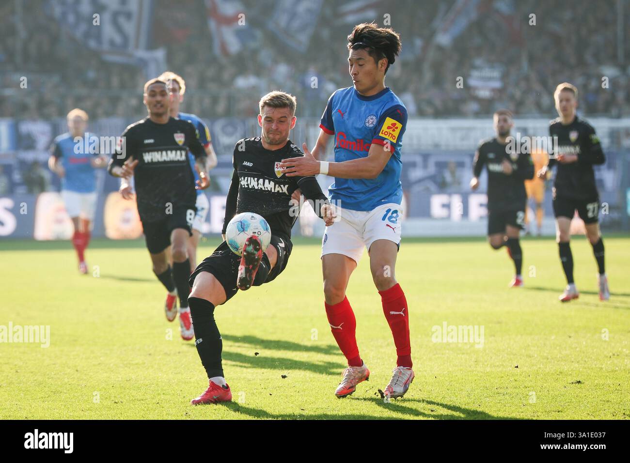 08 March 2025, Schleswig-Holstein, Kiel: Soccer: Bundesliga, Holstein Kiel - VfB Stuttgart ...