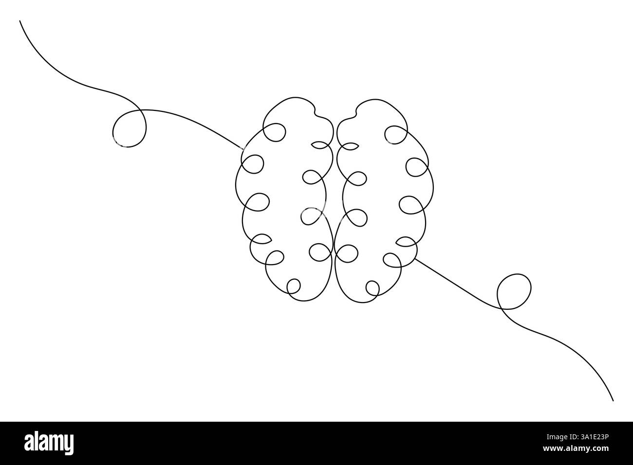 Human brain Continuous one line drawing of line art and vector ...
