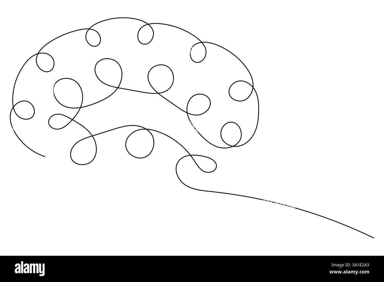 Human brain Continuous one line drawing of line art and vector ...