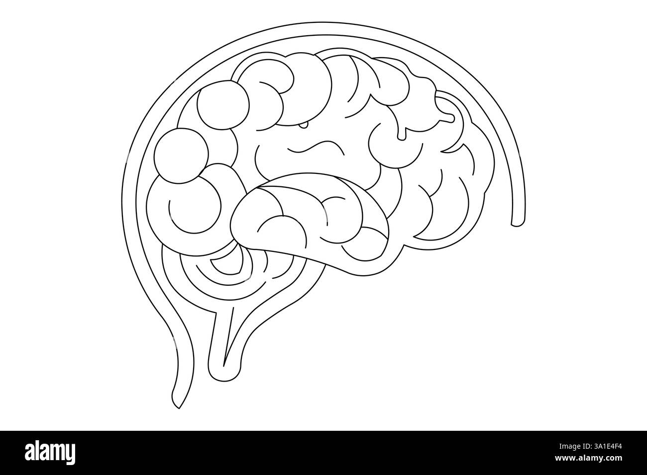 Human brain Continuous one line drawing of line art and vector ...