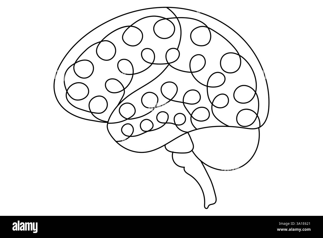 Human brain Continuous one line drawing of line art and vector ...