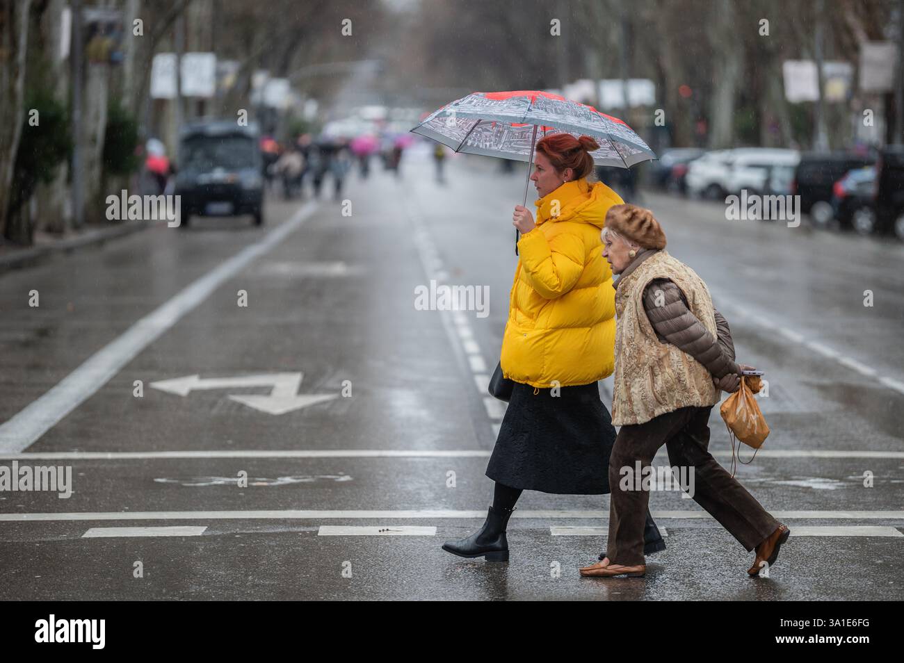 A woman with umbrella walks under the rain. Due to heavy rains ...