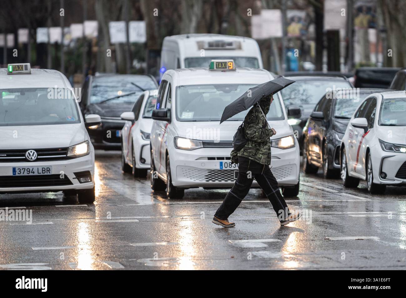 A man with umbrella walks under the rain. Due to heavy rains, possible ...